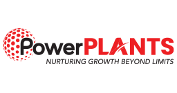 Crop Power | Vegetable Seeds Company