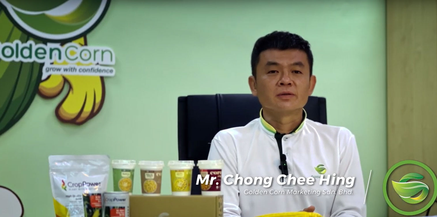 Crop Power introduce the new, game- changing variety in sweet corn ...