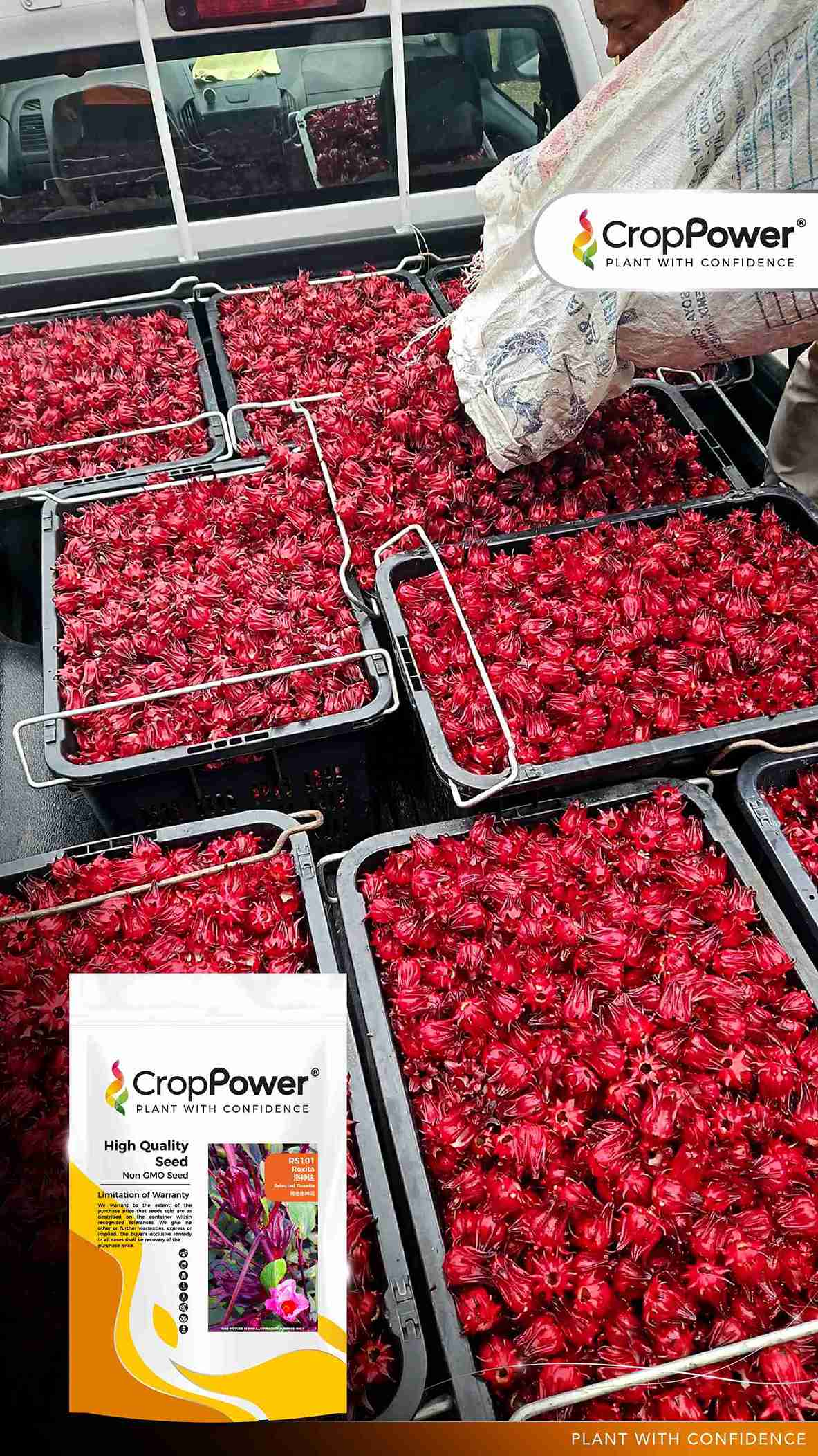Roxita – Crop Power